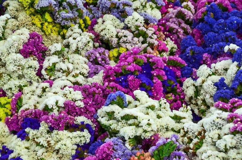 Produce Auction Flowers Home In The Finger Lakes produce-auction-flowers-home-in-the-finger-lakes