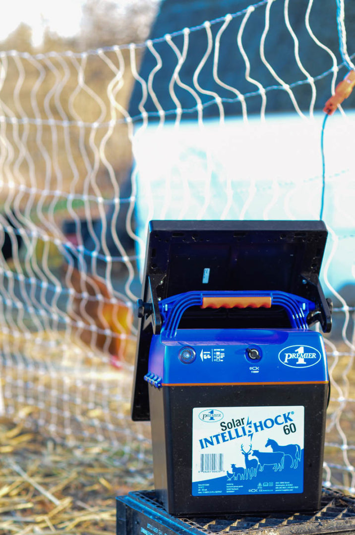 5 Things I Wish I Had Known About Premier 1 Electric Poultry Net Sooner