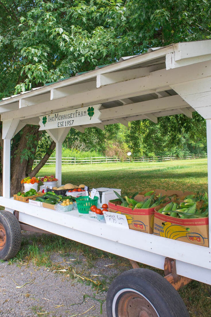 Everything You Need to Know About Selling Eggs on a Roadside Stand