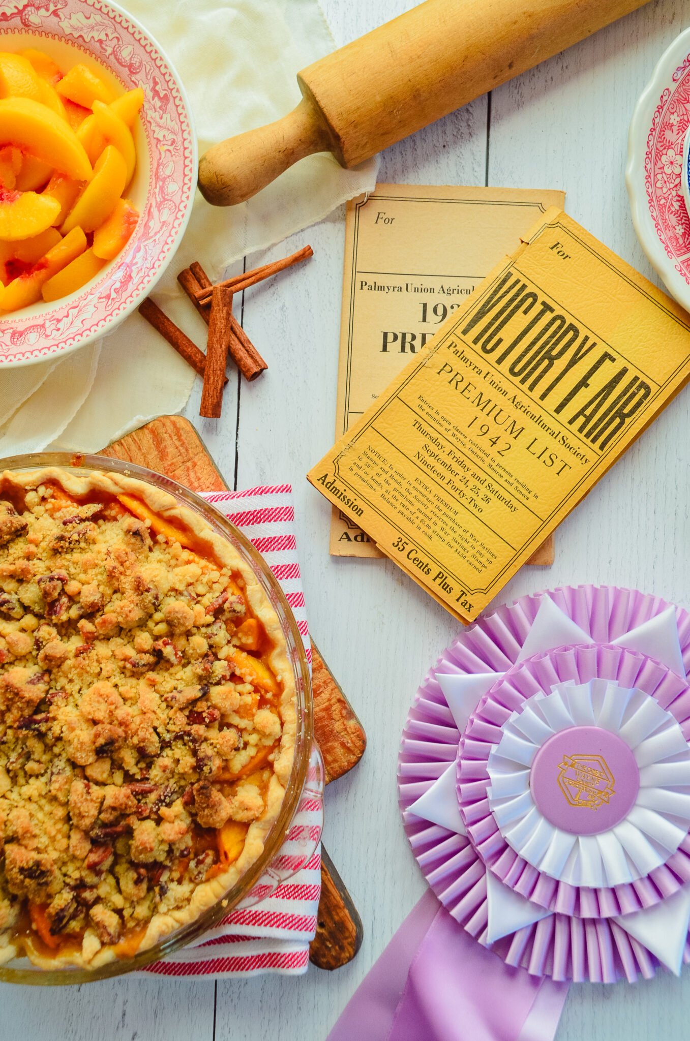 Everything You Need to Know About Brooder Temperature for Baby Chicks ...